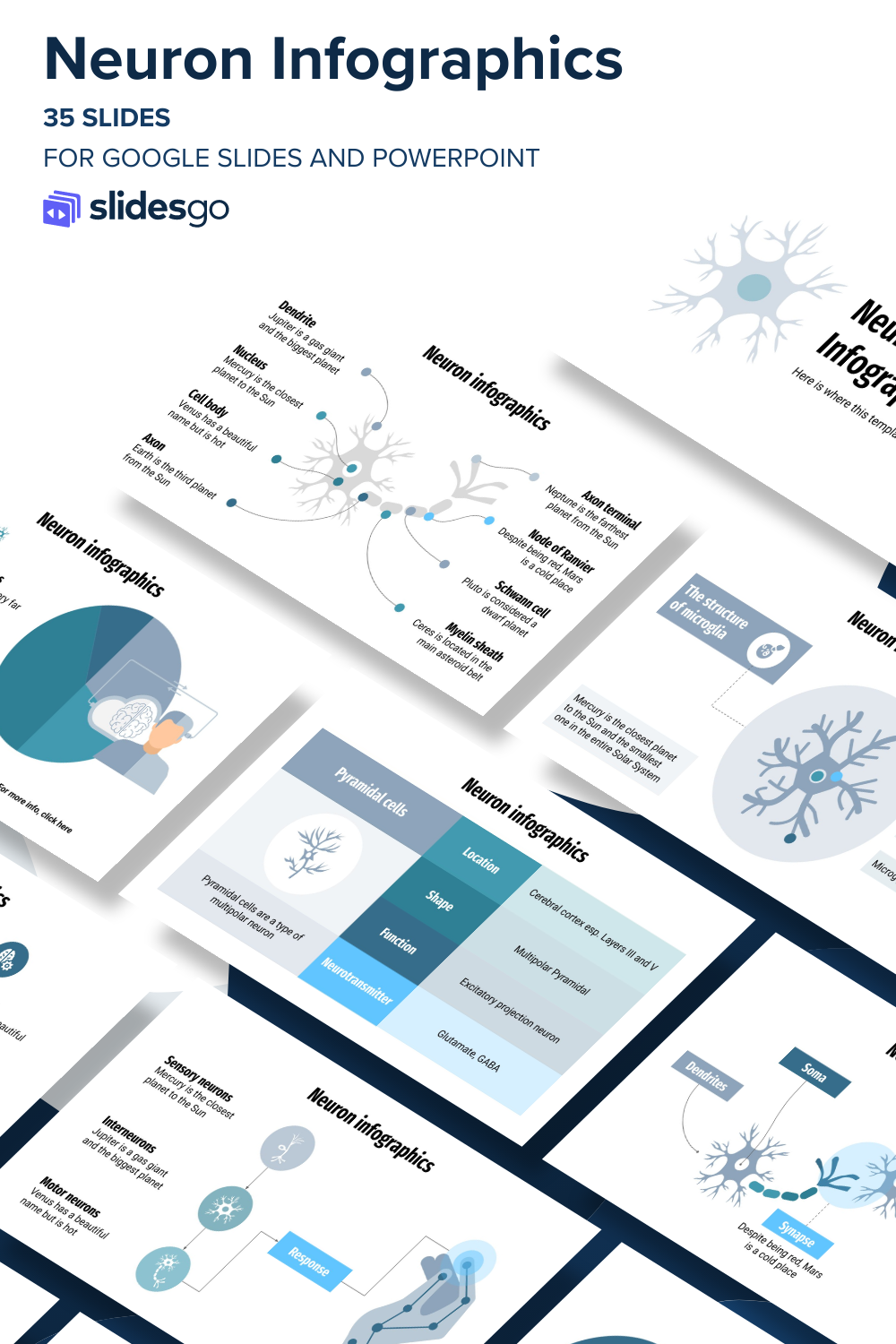 Neuron Infographics | Google Slides & PowerPoint