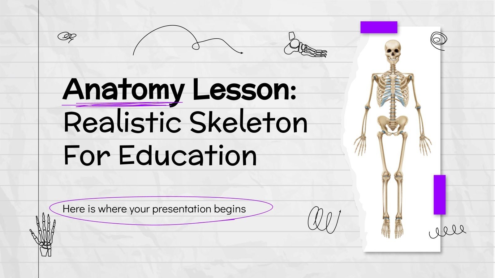 Anatomy Lesson: Realistic Skeleton | Google Slides & PPT