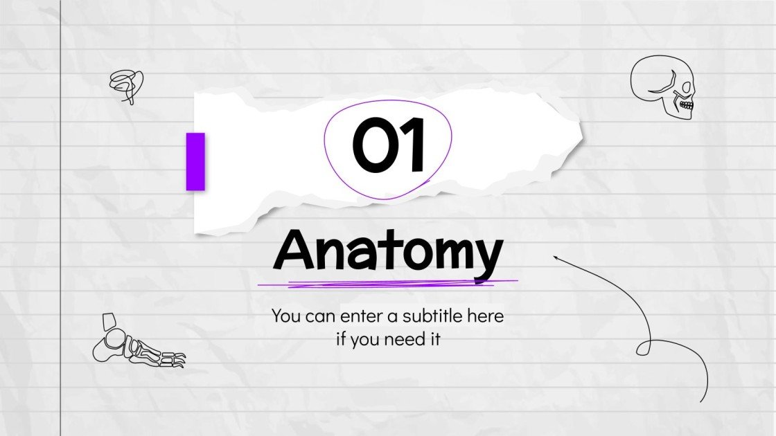 Anatomy Lesson: Realistic Skeleton | Google Slides & PPT