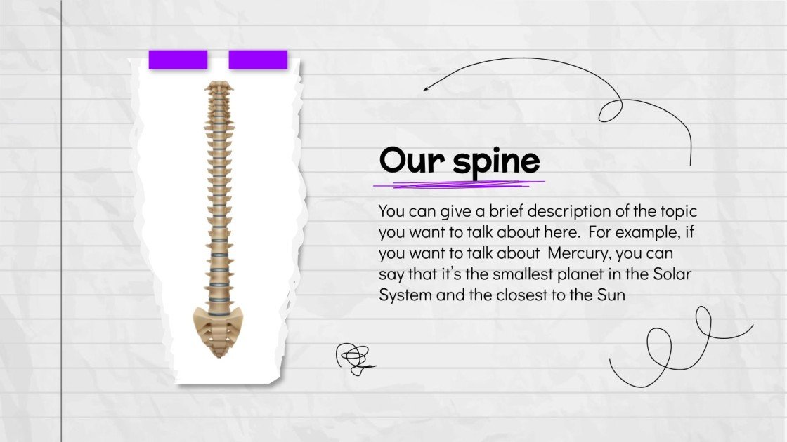 Anatomy Lesson: Realistic Skeleton | Google Slides & PPT
