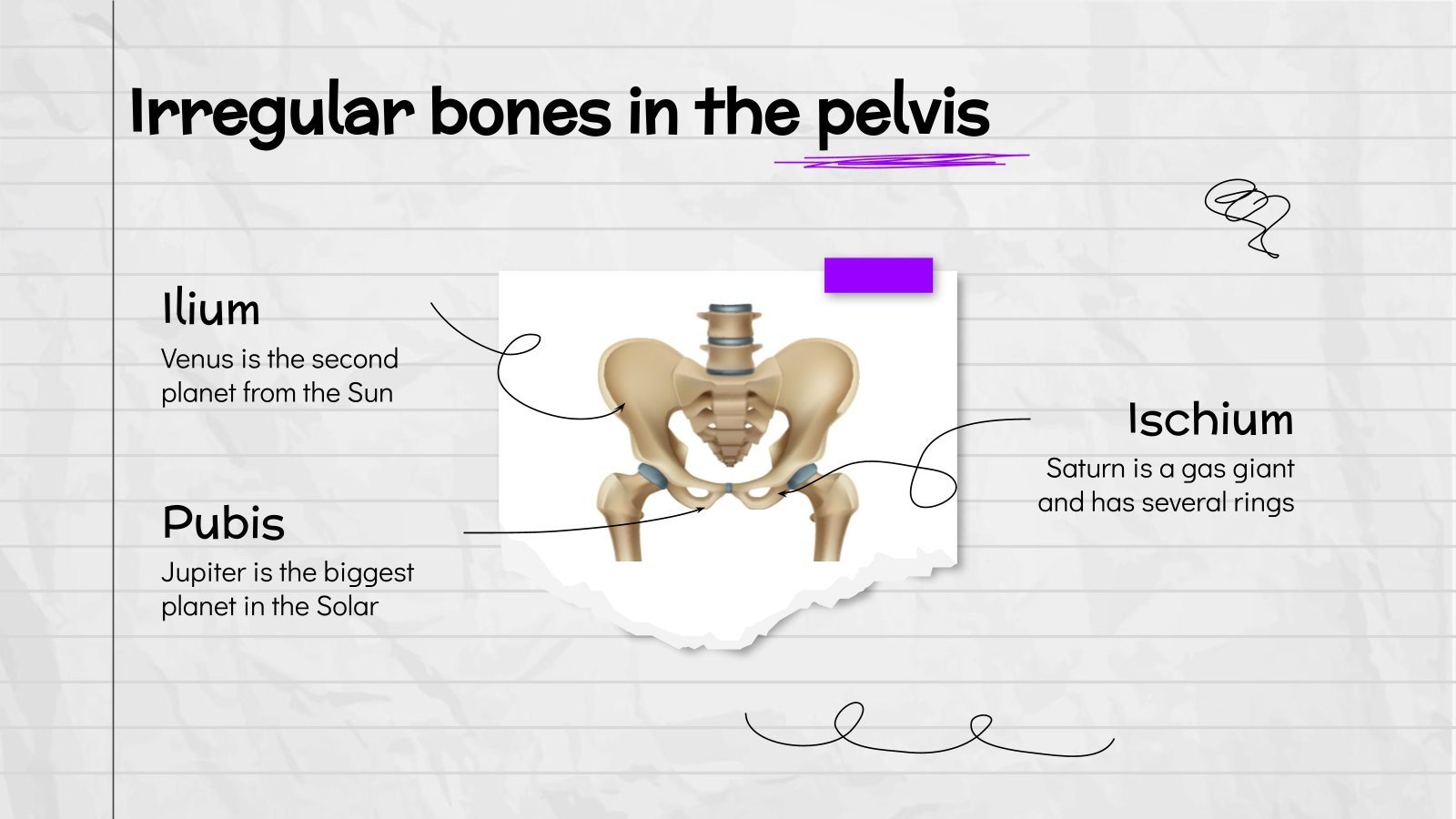 Anatomy Lesson: Realistic Skeleton | Google Slides & PPT