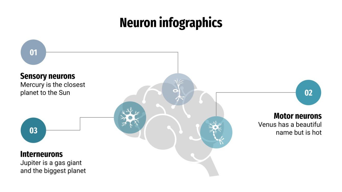 Neuron Infographics | Google Slides & PowerPoint