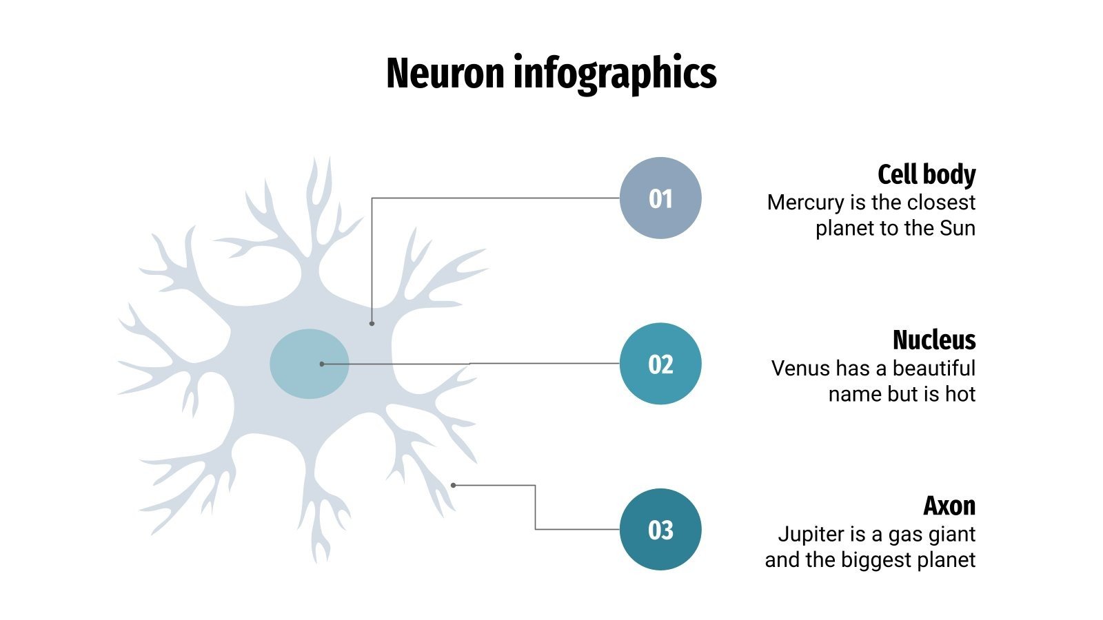 Neuron Infographics | Google Slides & PowerPoint