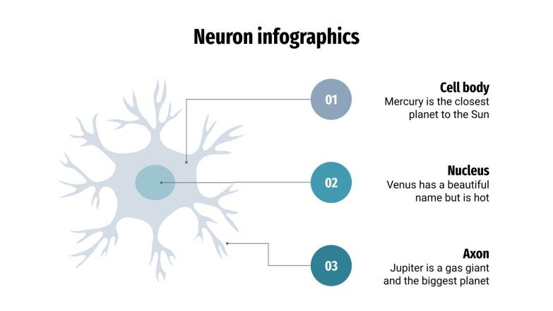 Neuron Infographics | Google Slides & PowerPoint