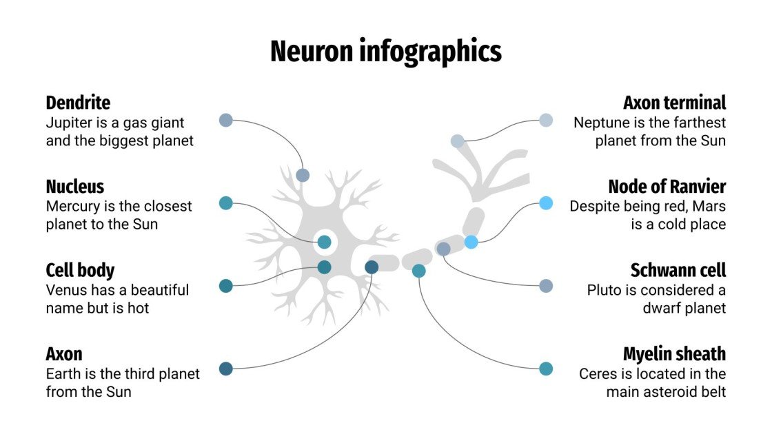 Neuron Infographics | Google Slides & PowerPoint