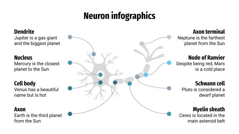 Neuron Infographics | Google Slides & PowerPoint