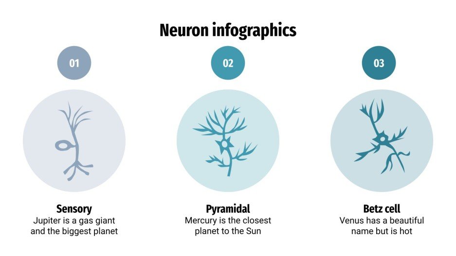 Neuron Infographics | Google Slides & PowerPoint