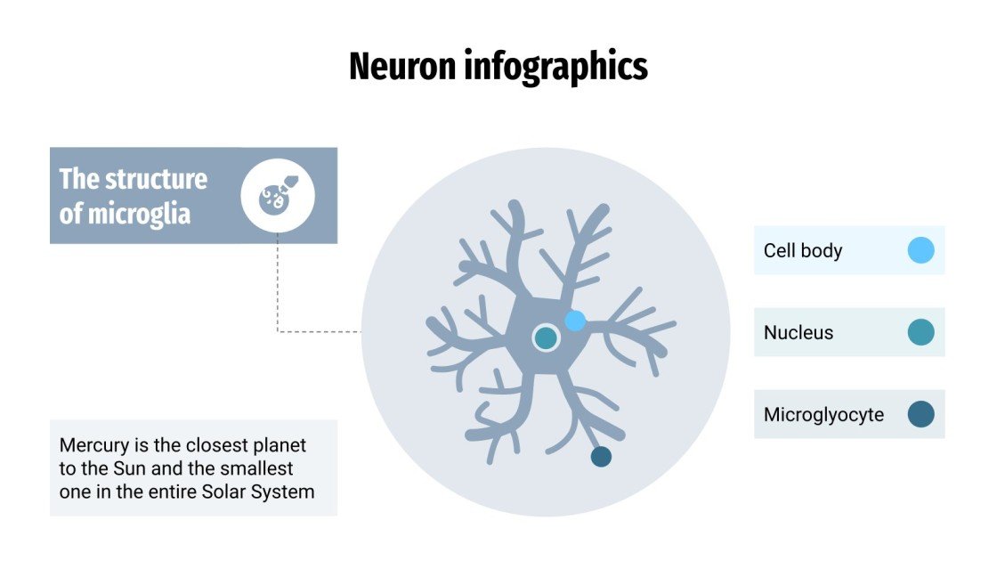 Neuron Infographics | Google Slides & PowerPoint