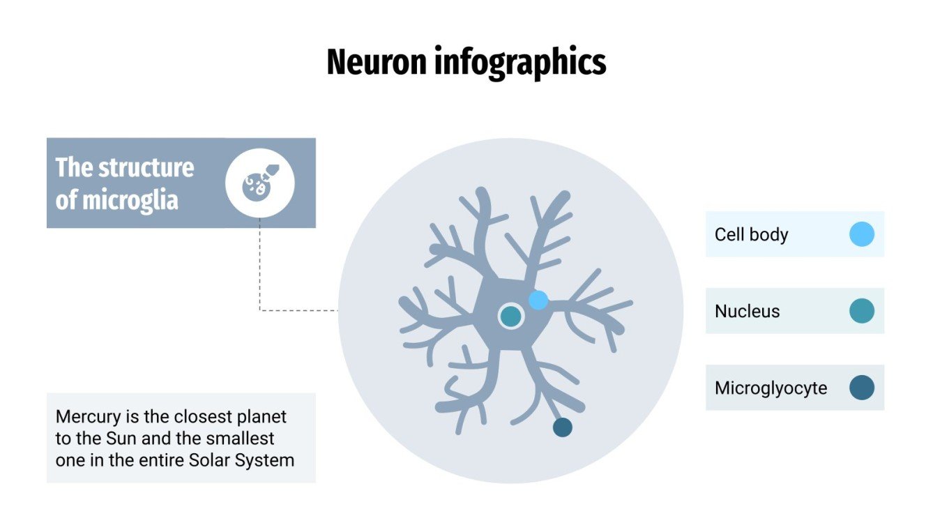 Neuron Infographics | Google Slides & PowerPoint