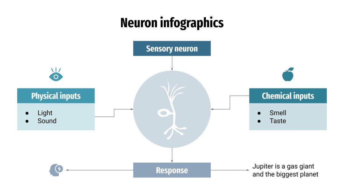 Neuron Infographics | Google Slides & PowerPoint
