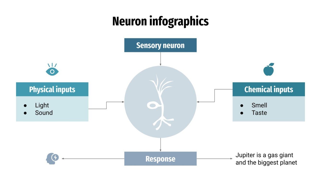 Neuron Infographics | Google Slides & PowerPoint