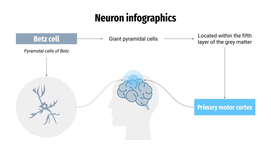 Neuron Infographics | Google Slides & PowerPoint