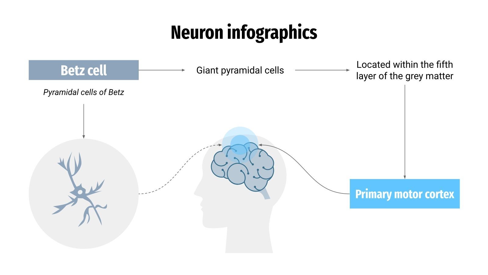 Neuron Infographics | Google Slides & PowerPoint