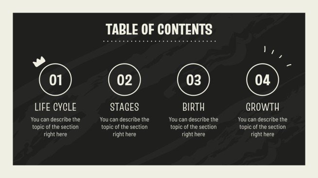 동물 생명주기 수업 | Google Slides & PPT