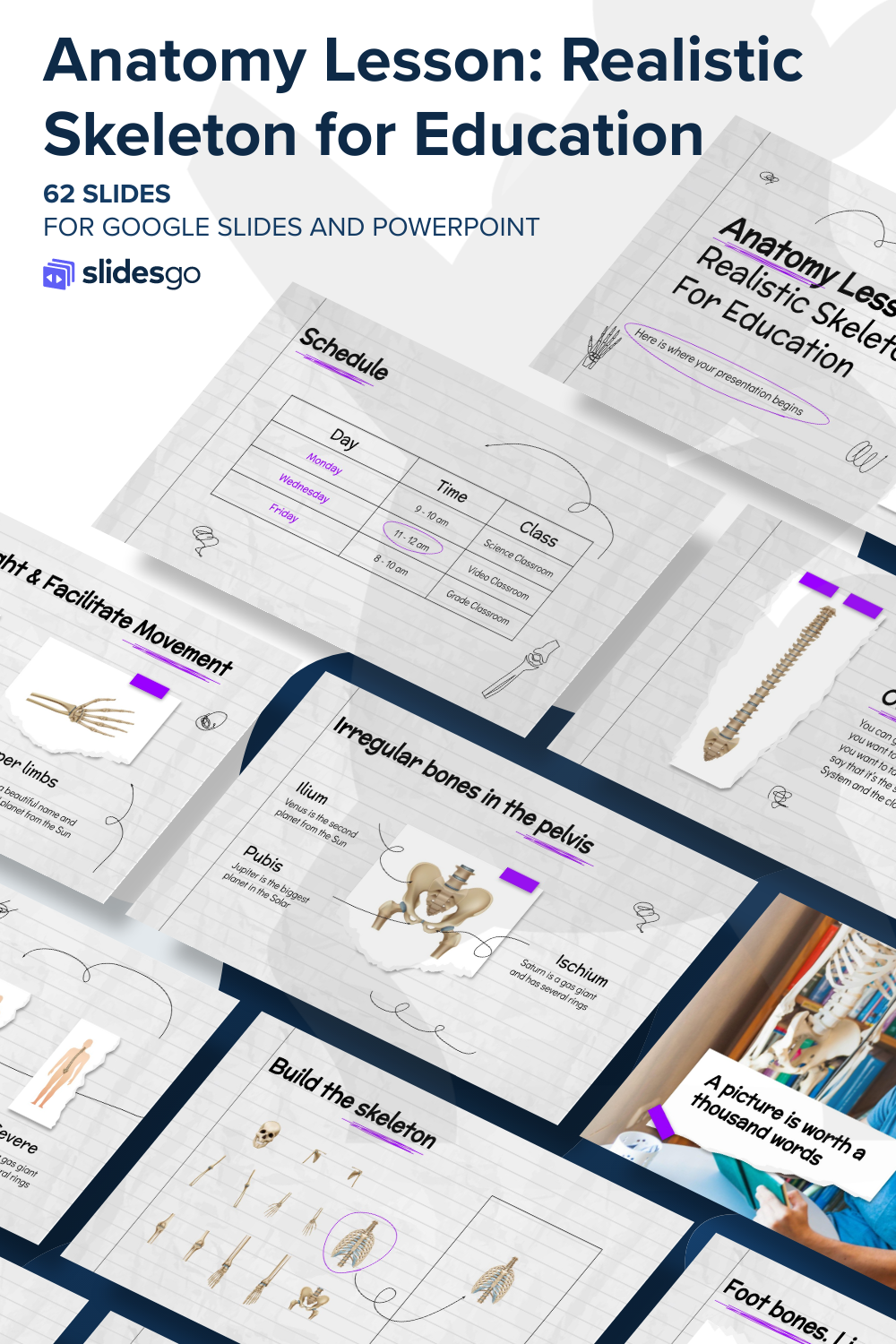 Anatomy Lesson: Realistic Skeleton | Google Slides & PPT