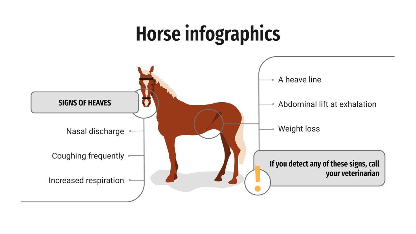 Horse Infographics | Google Slides & PowerPoint Template