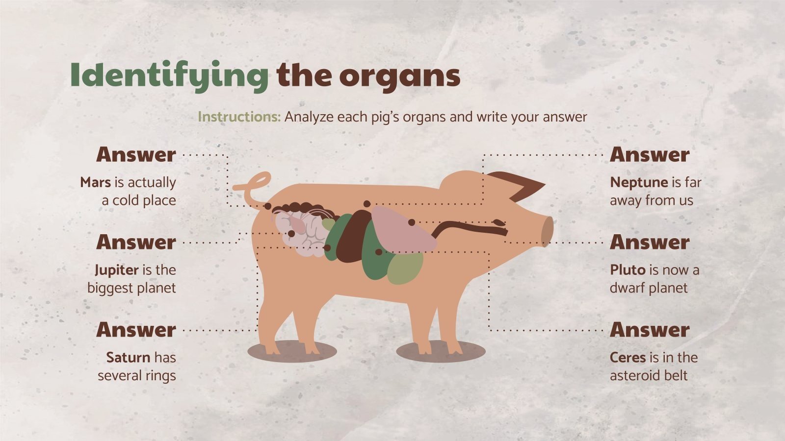 Clase de anatomía y fisiología de los animales | Google Slides