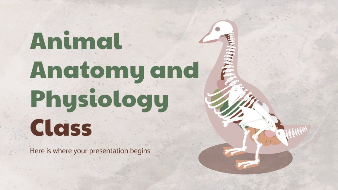 Free Google Slides and PPT Templates on Veterinary Medicine