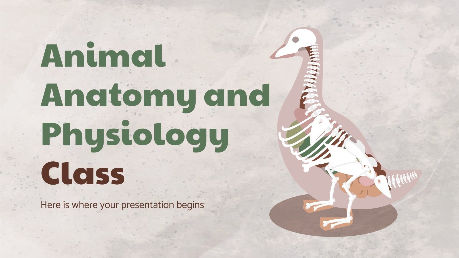 Free Google Slides and PPT Templates on Veterinary Medicine