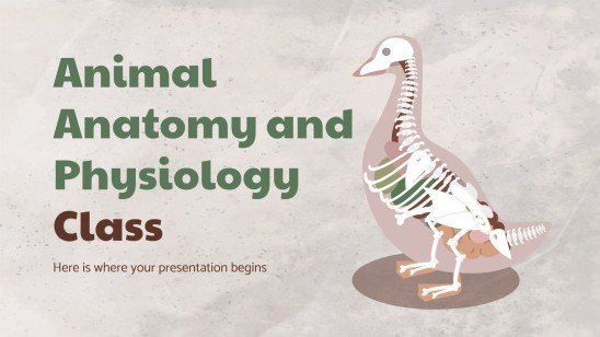 Free Google Slides and PPT Templates on Veterinary Medicine