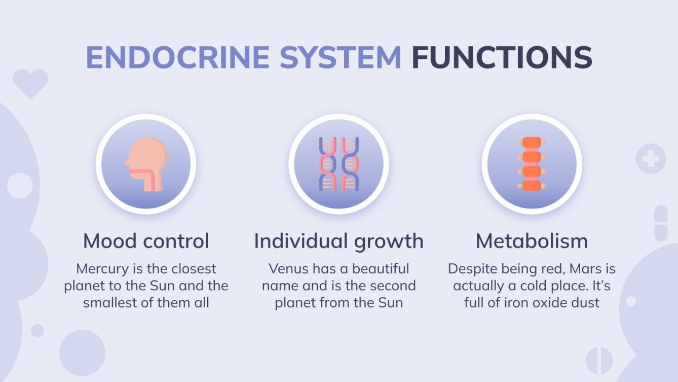 Endocrine System for Medical Students