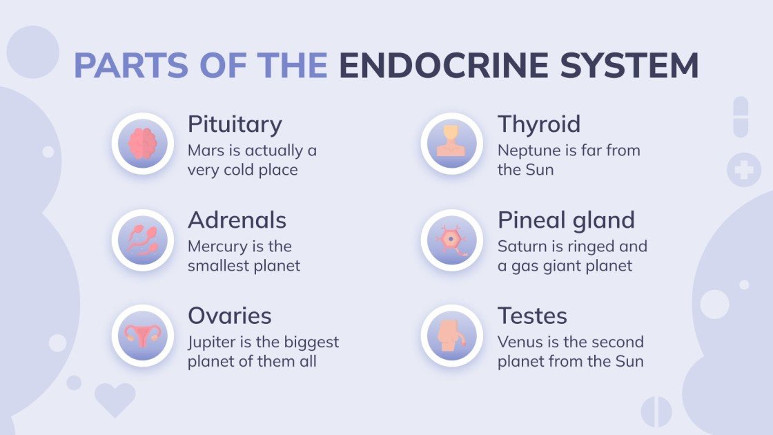 Endocrine System for Medical Students