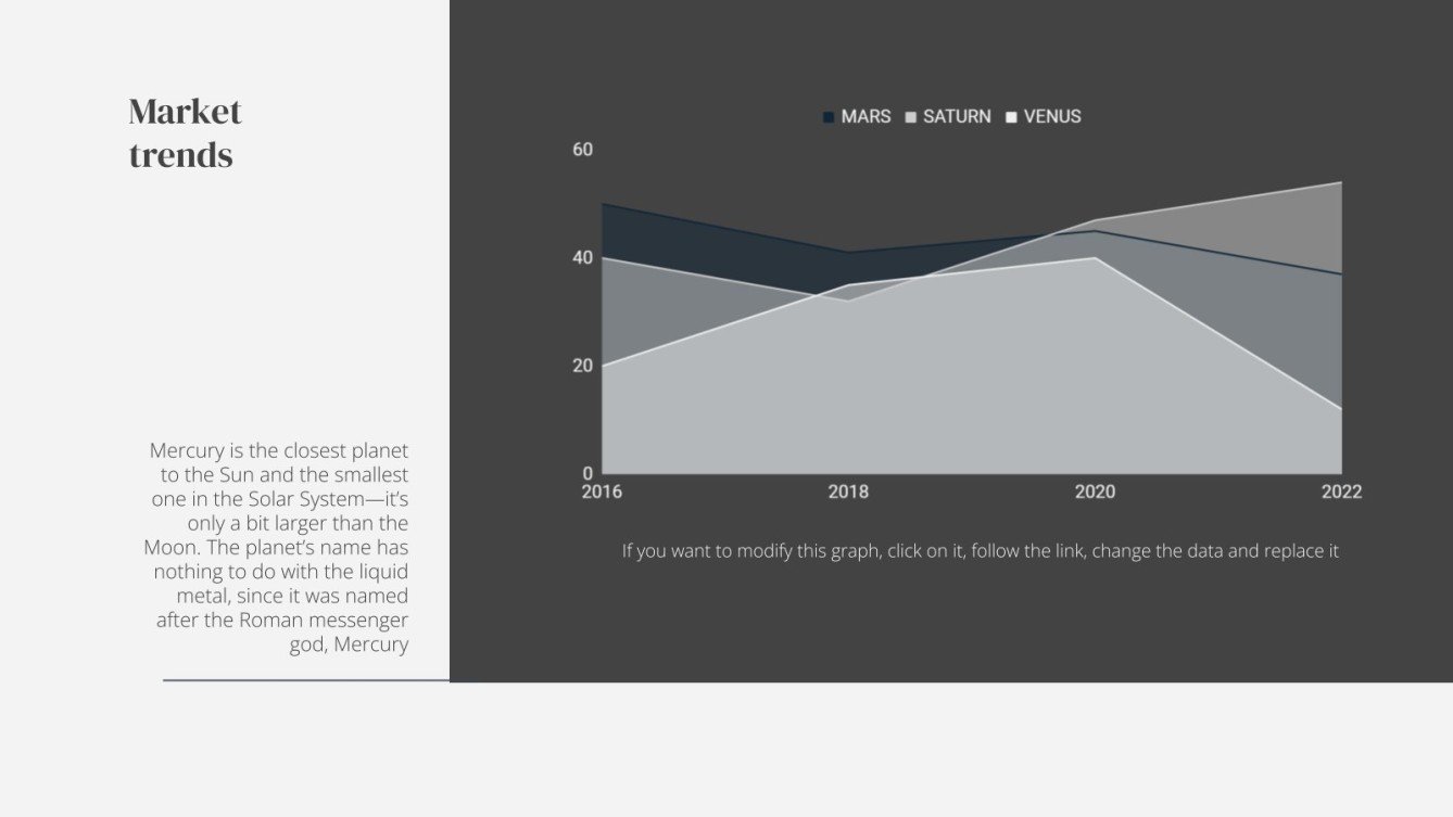 Investment Business Plan Google Slides and PPT Template