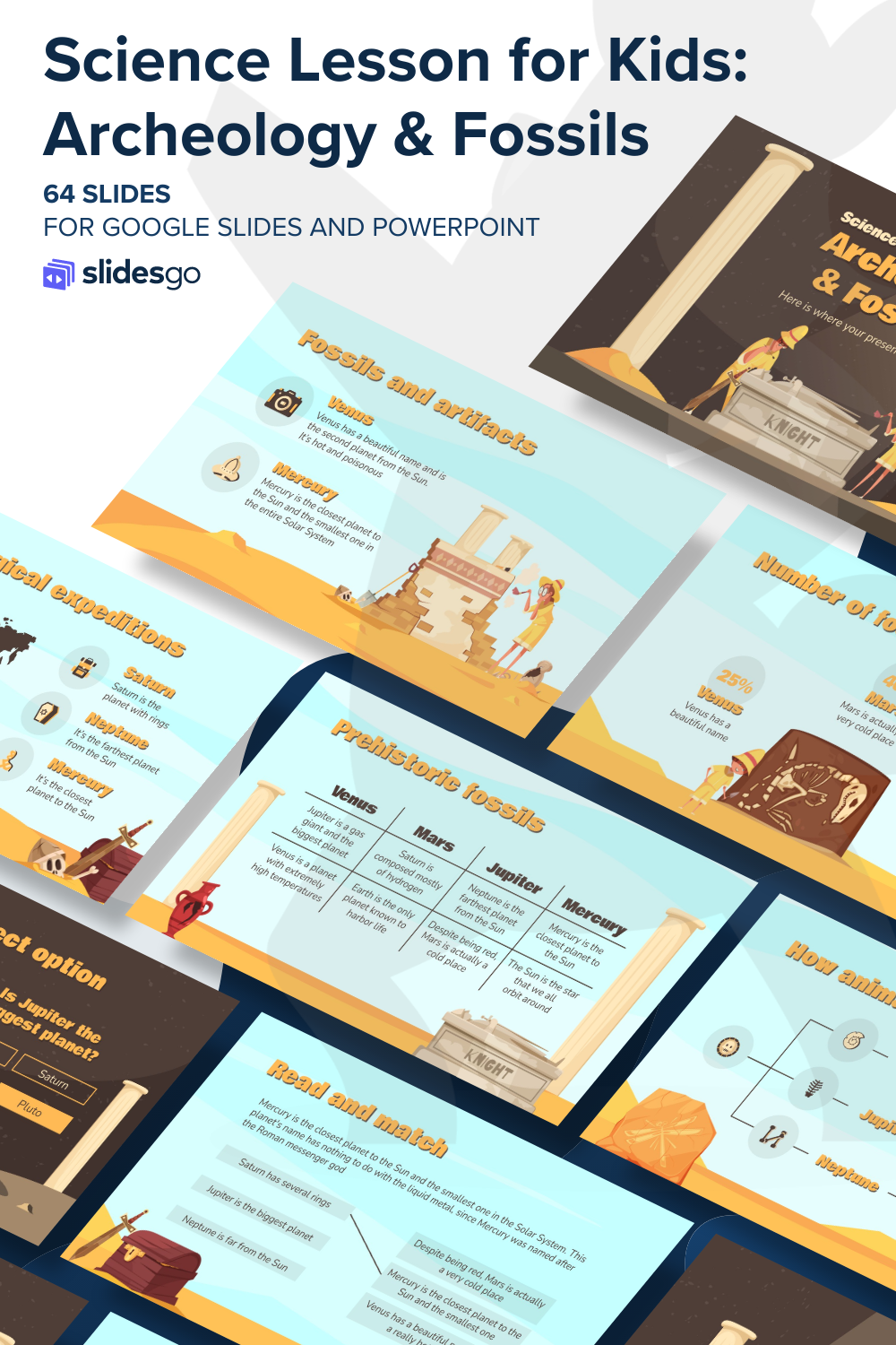 Science Lesson for Kids: Archeology & Fossils