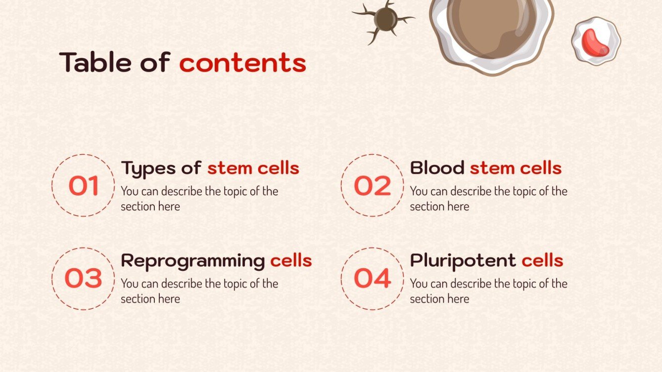 Biology for High School: Stem Cells | Google Slides & PPT