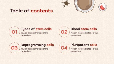 Biology for High School: Stem Cells | Google Slides & PPT