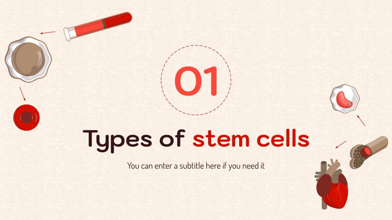 Biology for High School: Stem Cells | Google Slides & PPT