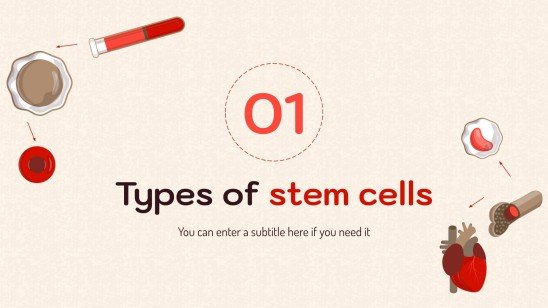 Biology for High School: Stem Cells | Google Slides & PPT