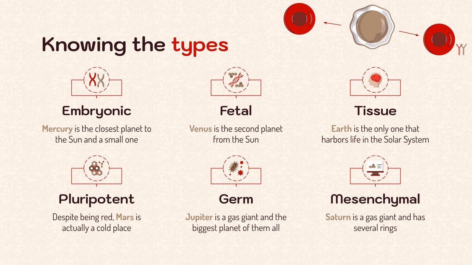 Biology for High School: Stem Cells | Google Slides & PPT
