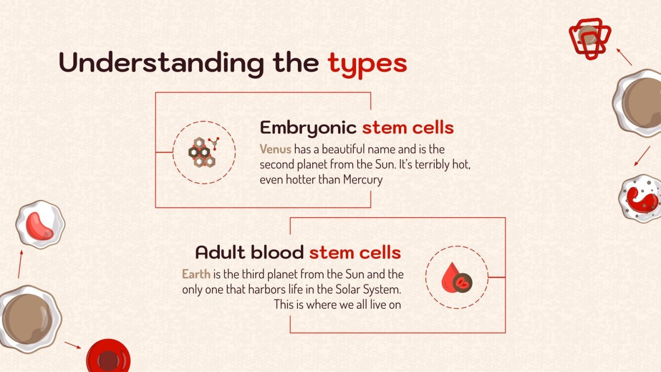 Biology for High School: Stem Cells | Google Slides & PPT