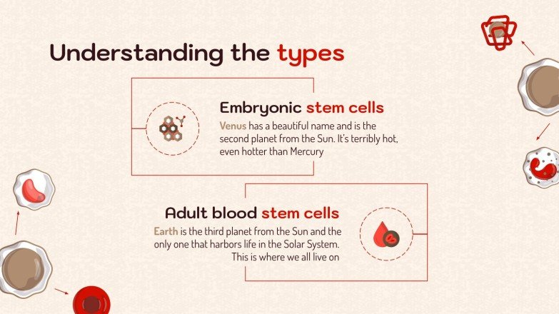 Biology for High School: Stem Cells | Google Slides & PPT