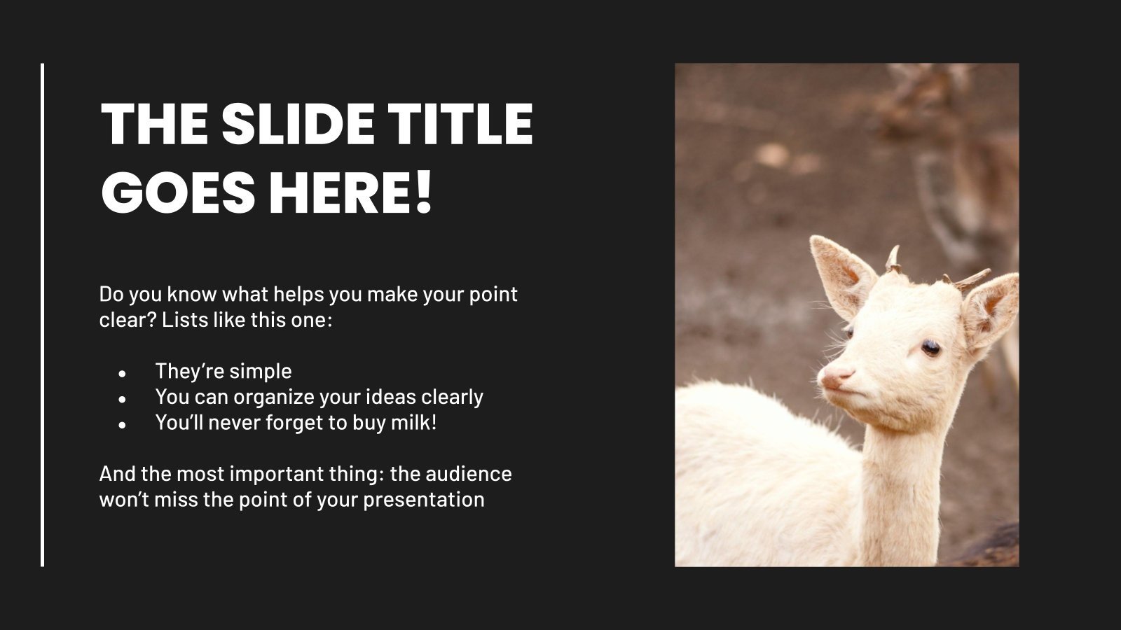 Nature Photography Day | Google Slides & PowerPoint