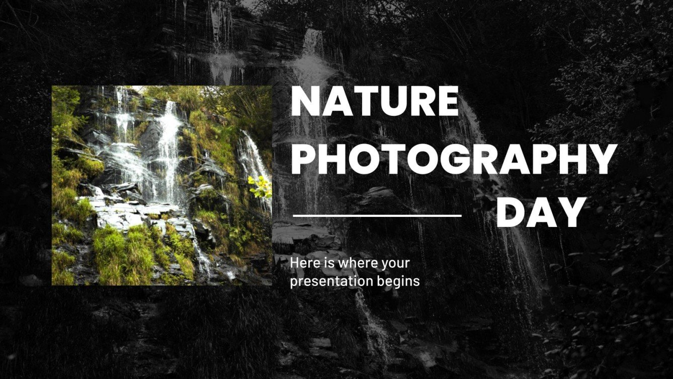 Free Photography Google Slides and PowerPoint templates