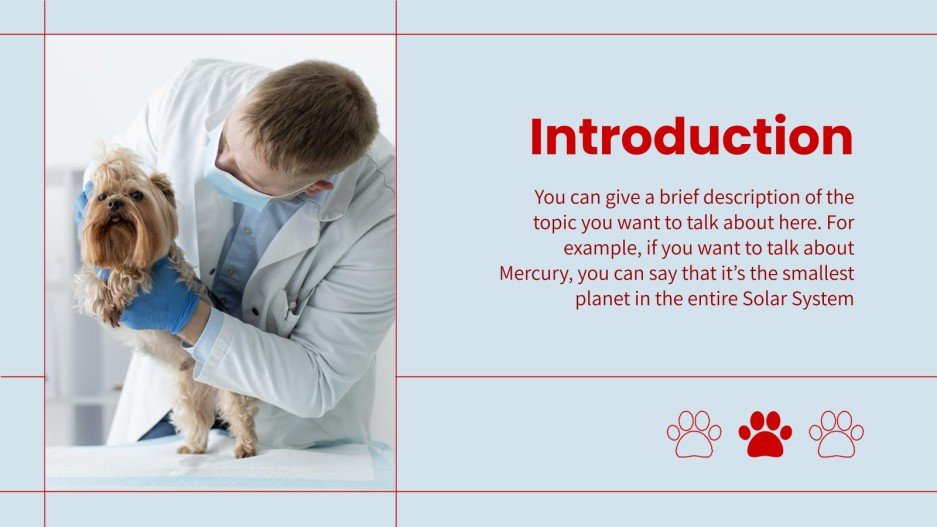 Veterinary Clinical Case: Canine Fever | Google Slides & PPT