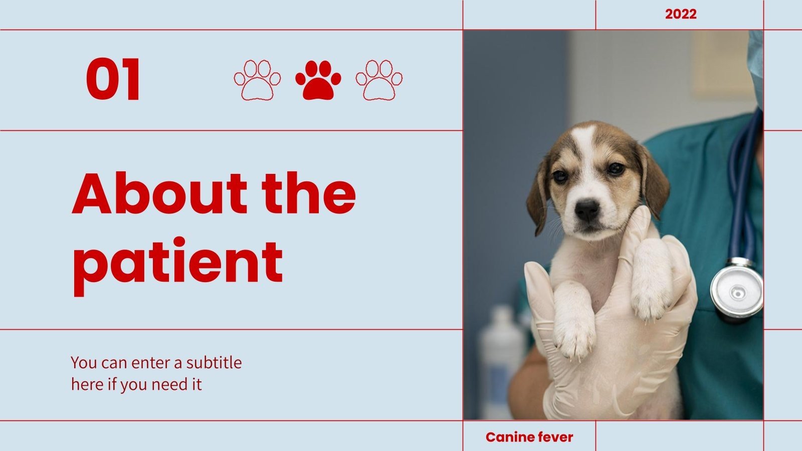 Veterinary Clinical Case: Canine Fever | Google Slides & PPT