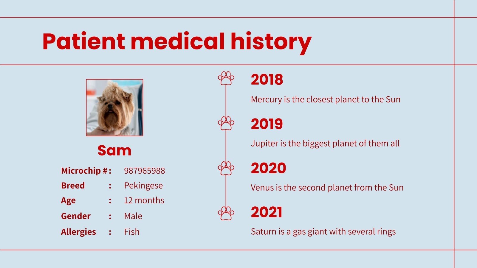 Veterinary Clinical Case: Canine Fever | Google Slides & PPT