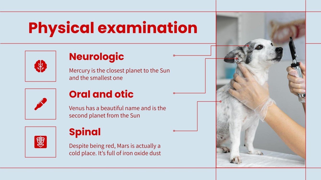 Veterinary Clinical Case: Canine Fever | Google Slides & PPT