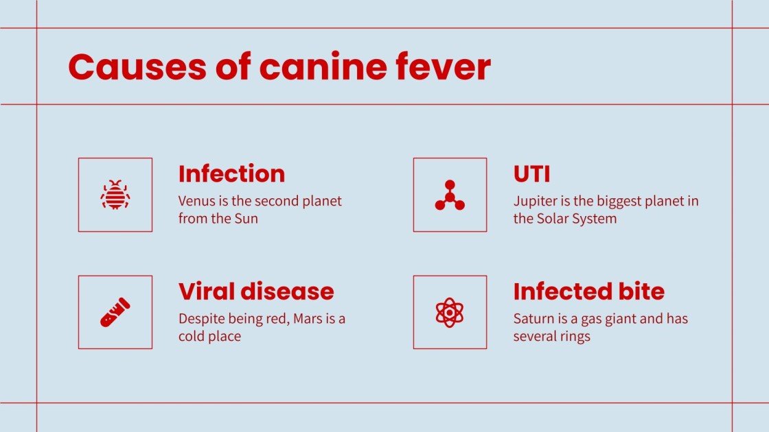 Veterinary Clinical Case: Canine Fever | Google Slides & PPT