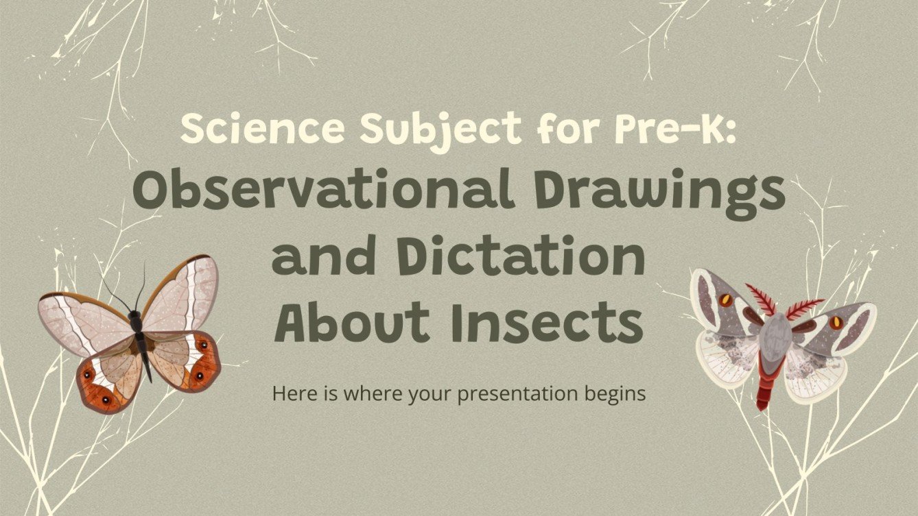 Science for Pre-K: Drawings & Dictation of Insects