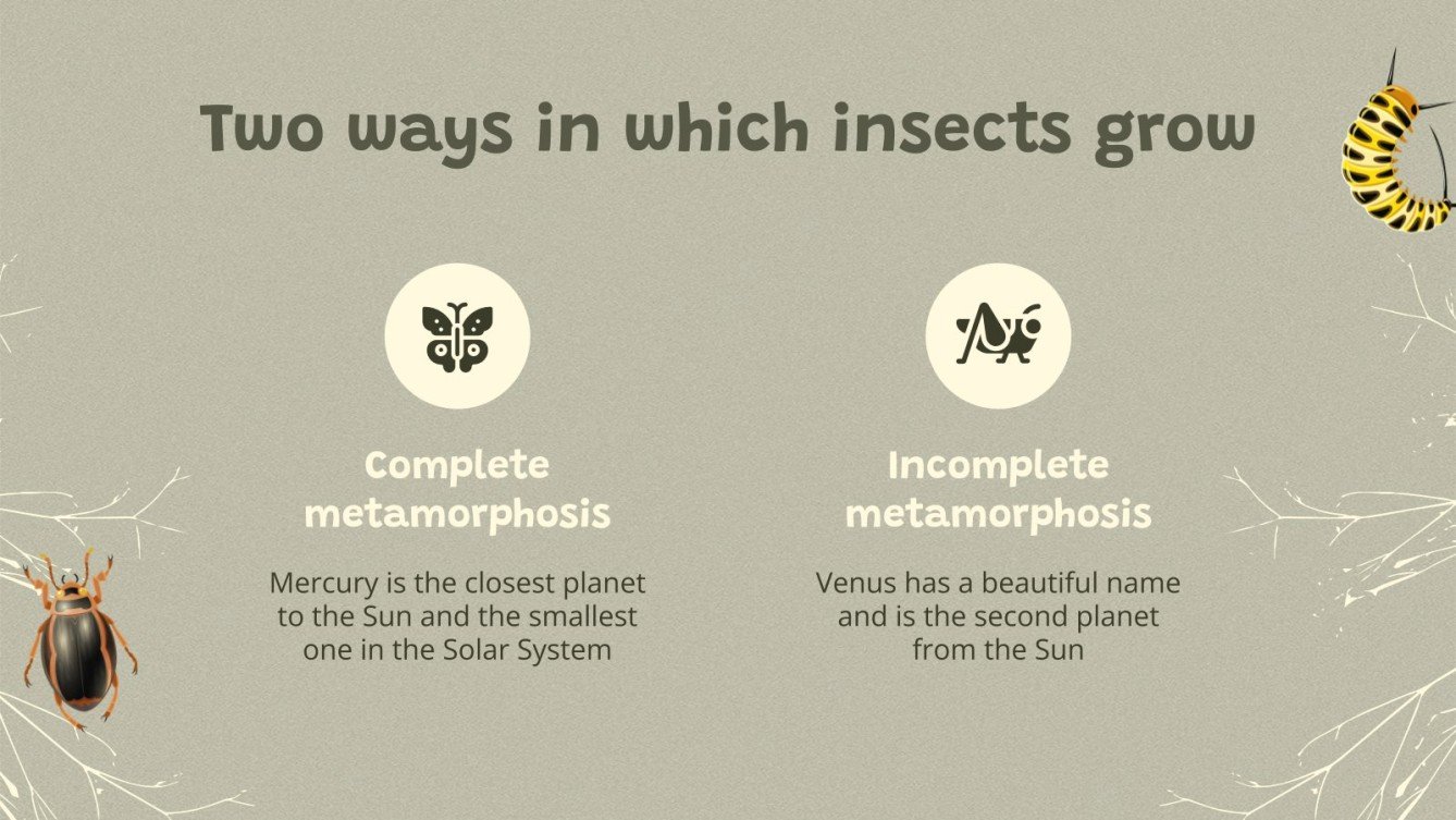 Science for Pre-K: Drawings & Dictation of Insects