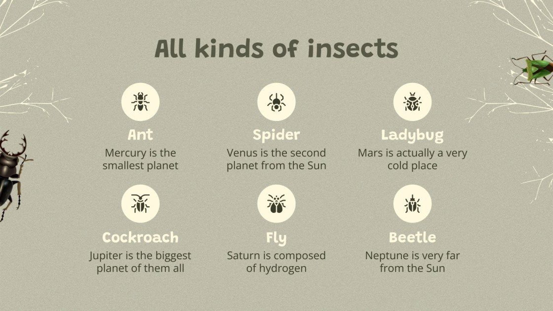 Science for Pre-K: Drawings & Dictation of Insects