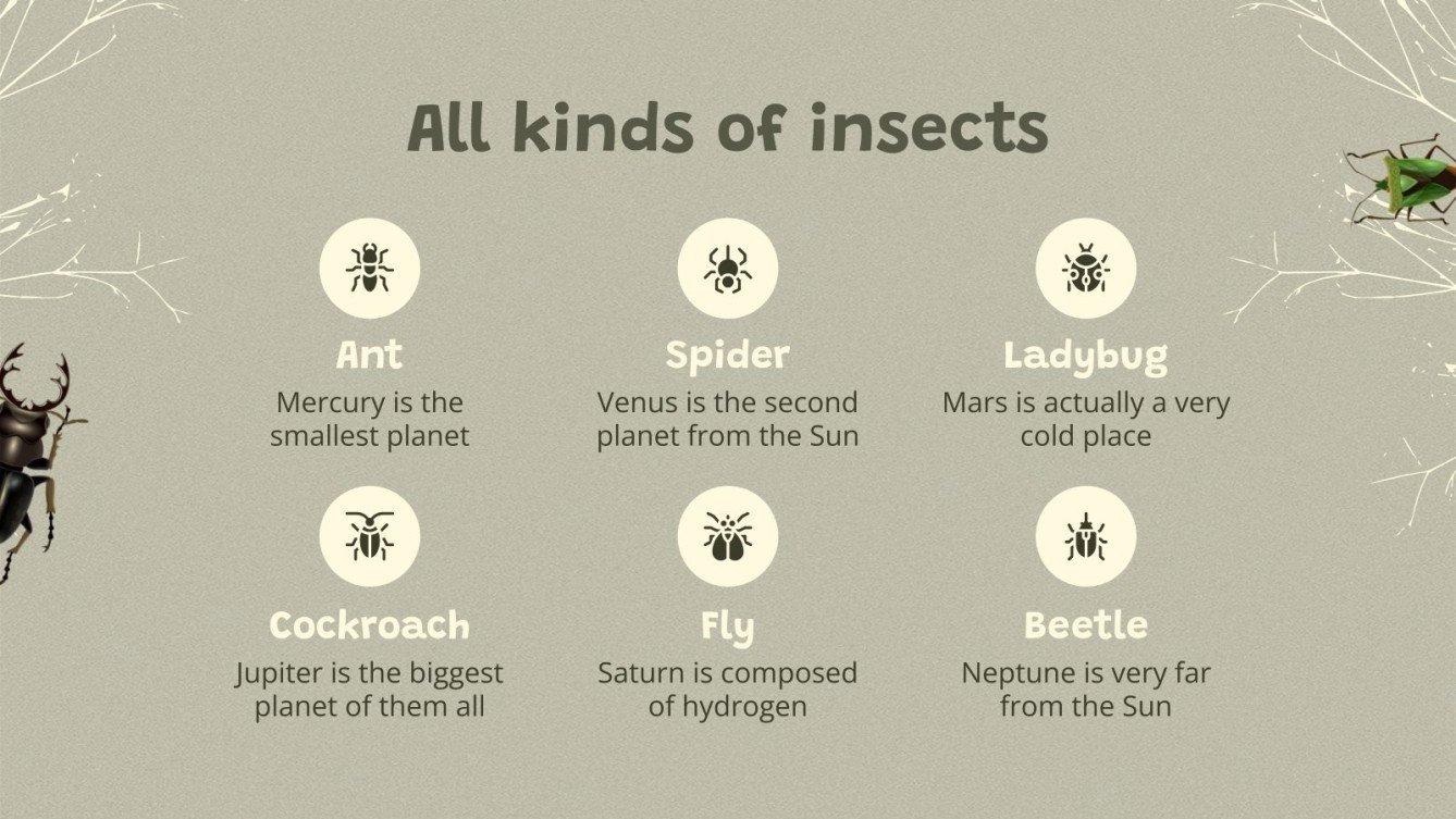 Science for Pre-K: Drawings & Dictation of Insects
