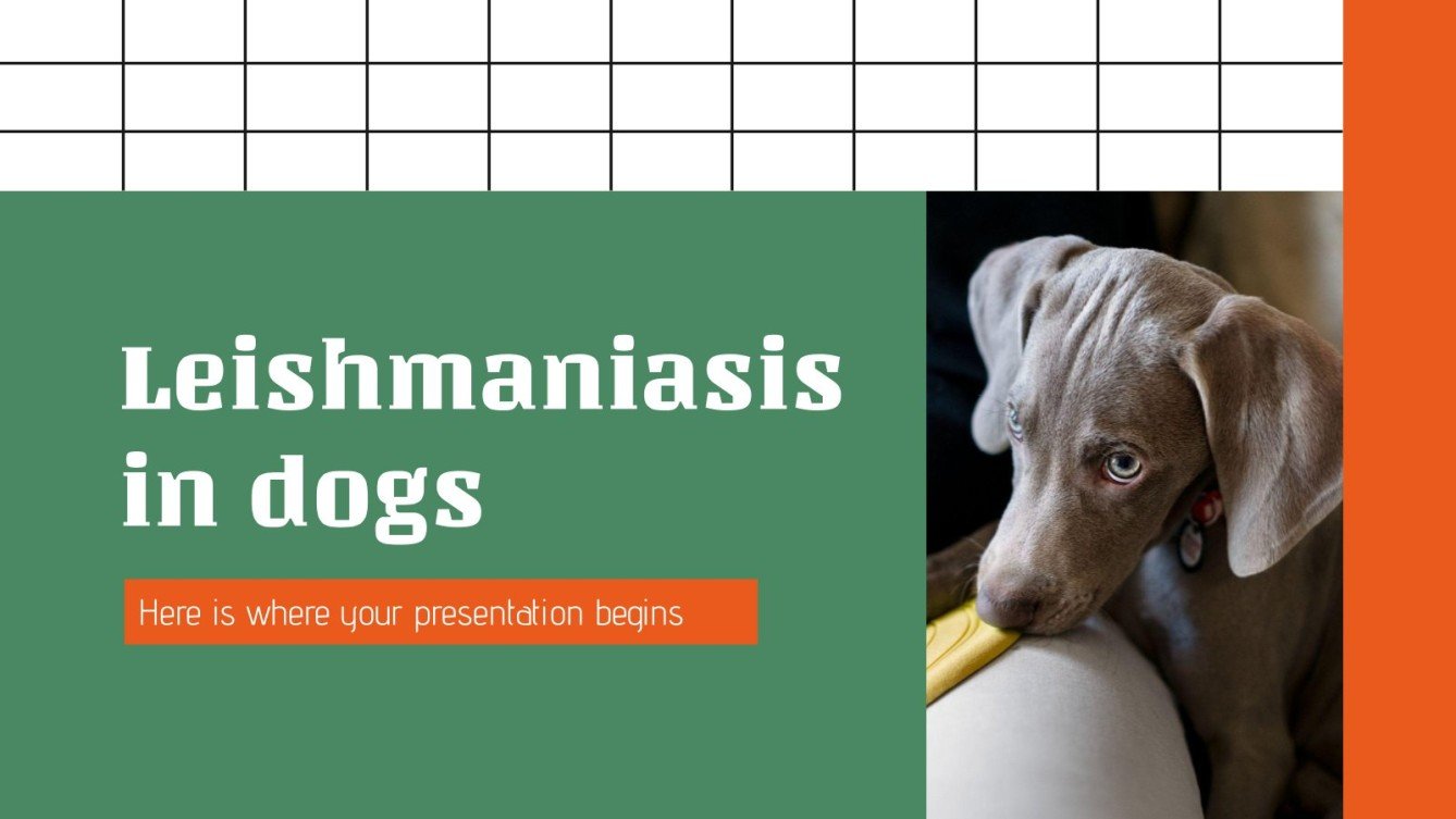 Free Dog-related Google Slides themes & PowerPoint templates