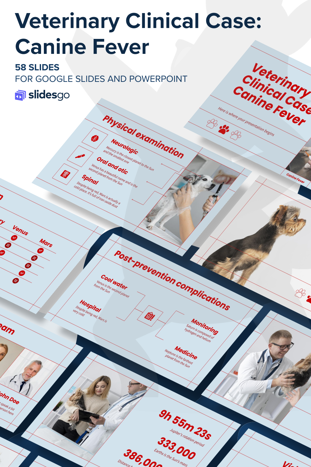 Veterinary Clinical Case: Canine Fever | Google Slides & PPT