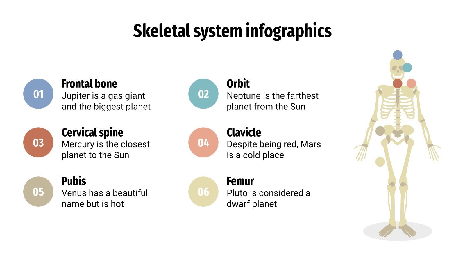 Skeletal System Infographics | Google Slides & PowerPoint