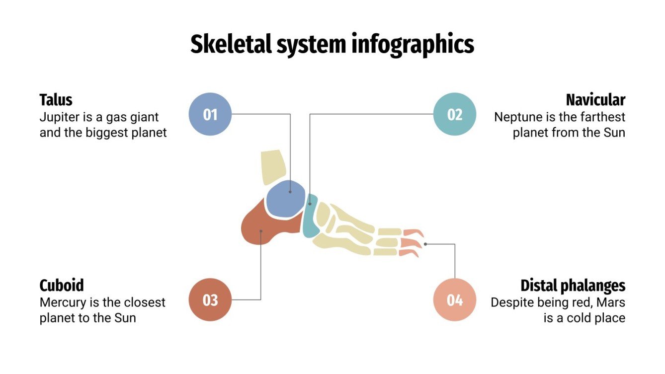 Skeletal System Infographics | Google Slides & PowerPoint